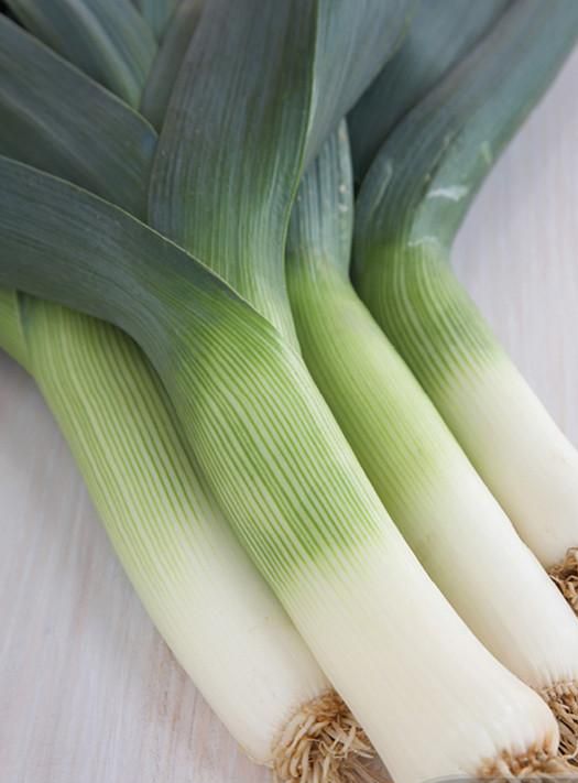 Leek Welsh Wonder | Garden Seeds Yates Australia