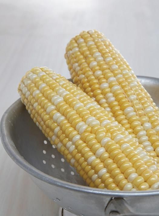 Sweet Corn Sun 'n' Snow | Garden Seeds Yates Australia