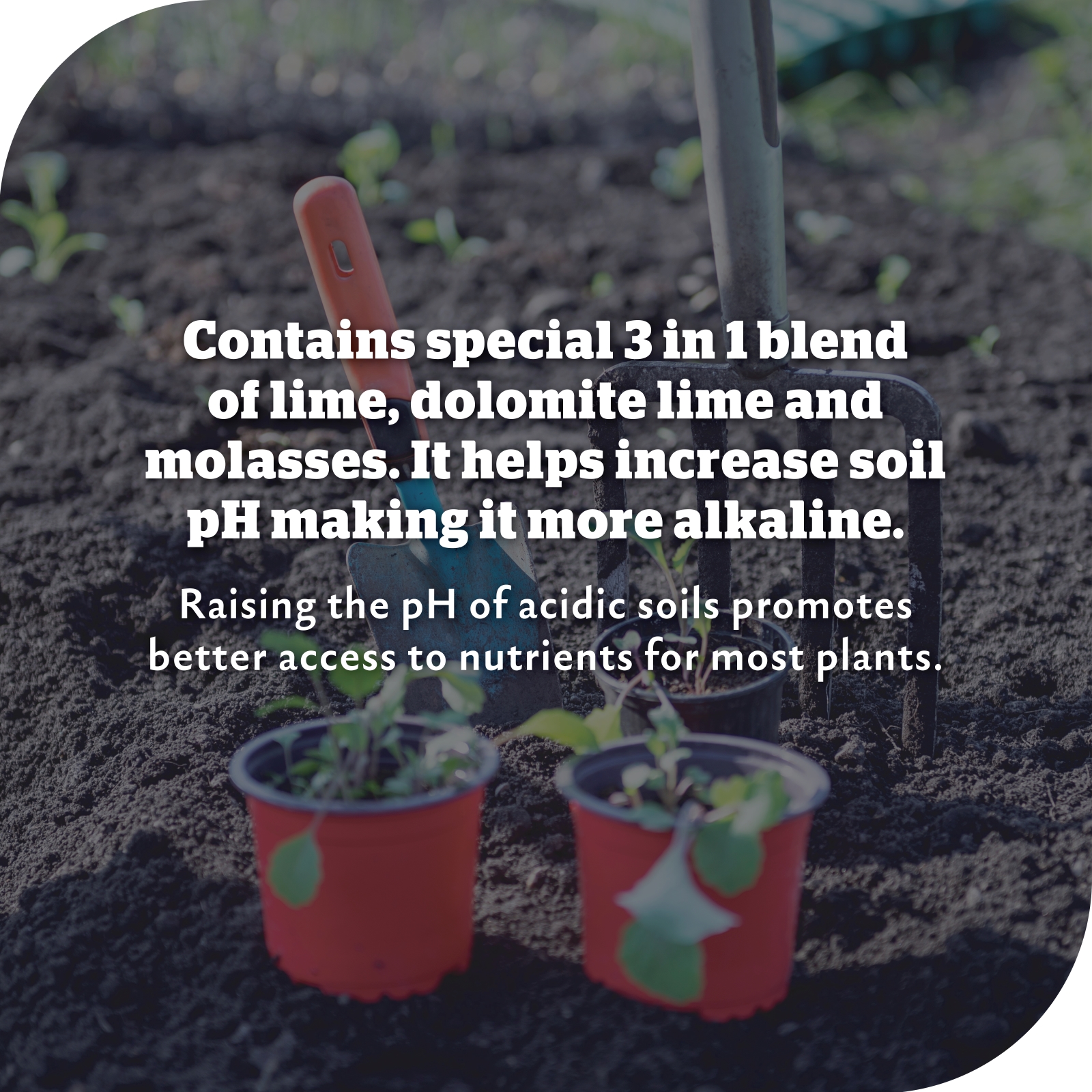 Yates 5kg Lime & Dolomite Soil Improver Granules