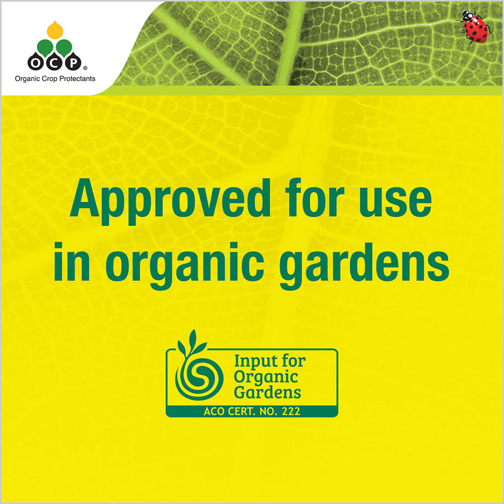 OCP 750ml Ready To Use eco-pyrethrum PLUS