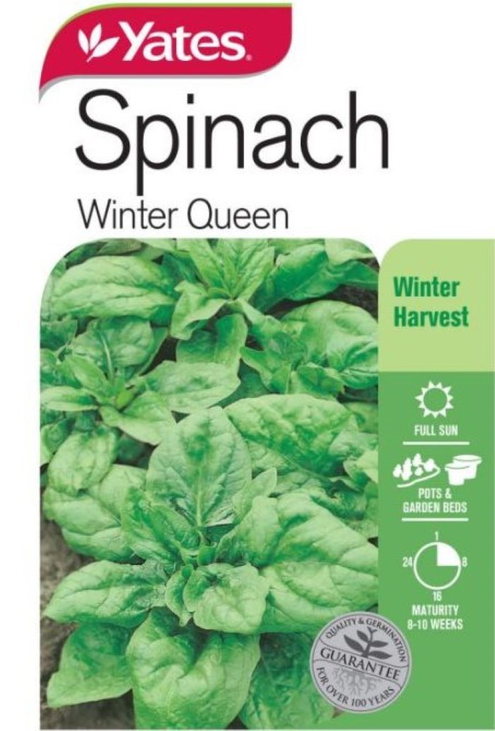 Spinach Winter Queen | Garden Seeds Yates Australia