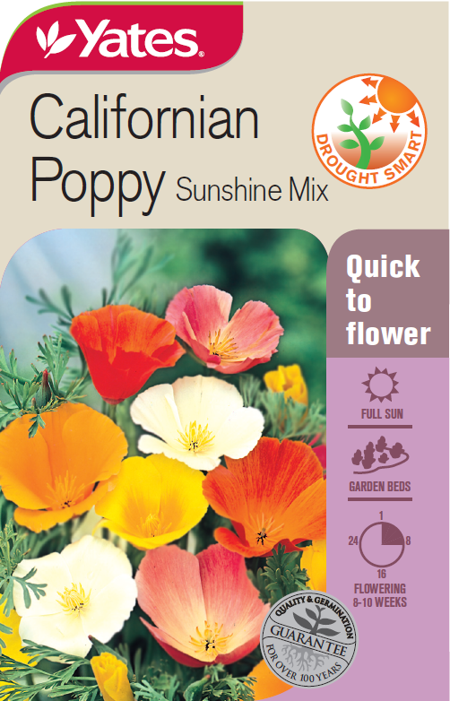 How to Grow Poppy | Yates Australia