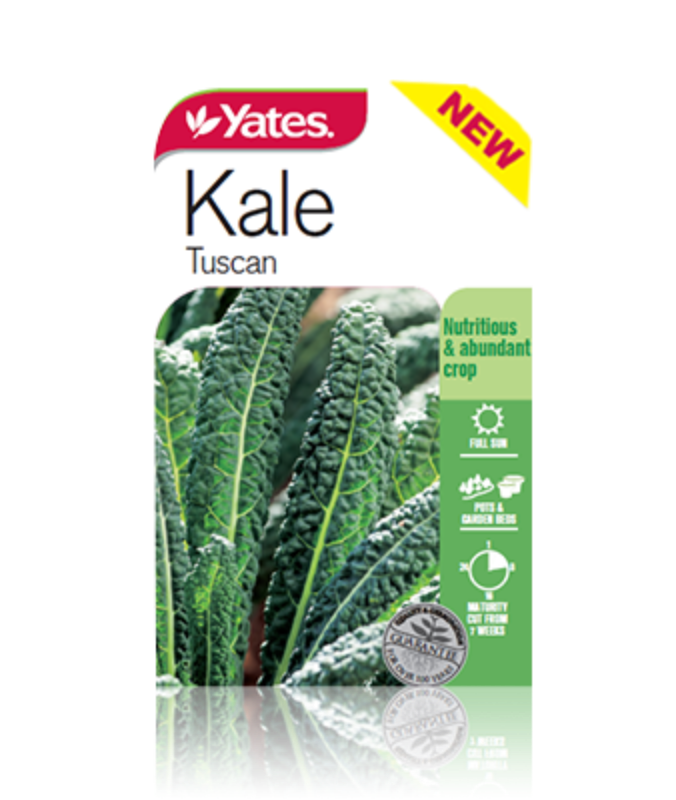 Kale Tuscan Seeds | Buy Kale Seeds Online | Yates Australia