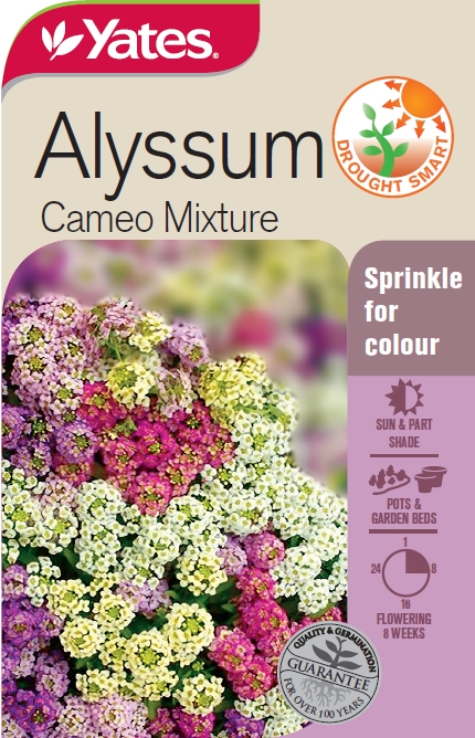 Alyssum Cameo Mixture | Garden Seeds Yates Australia