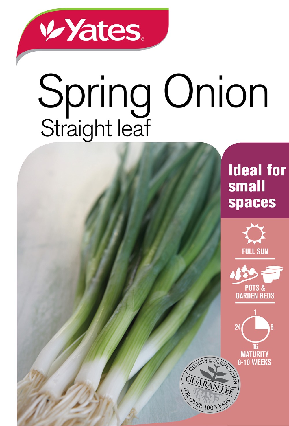 How to Grow Spring Onions | Yates Australia