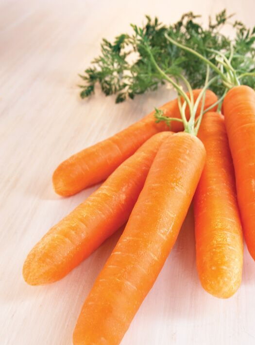 Carrot Manchester Table | Garden Seeds Yates Australia