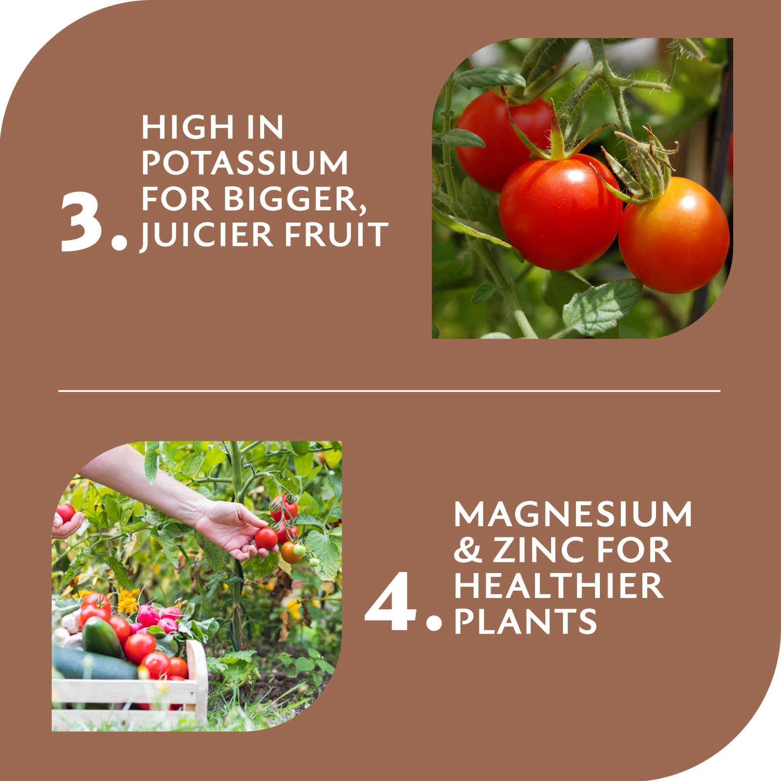 Yates 7kg Dynamic Lifter Fruit & Citrus Pelletised Plant Food