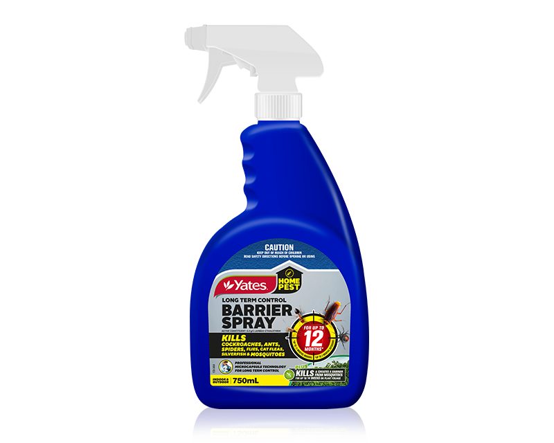 How to Get Rid of Flies in Your Home & Garden | Yates Australia