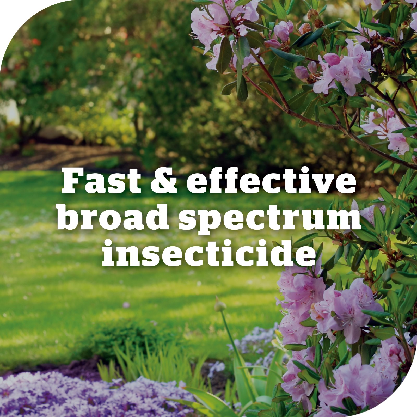 Yates Advanced Garden Insect Killer conc 50ml