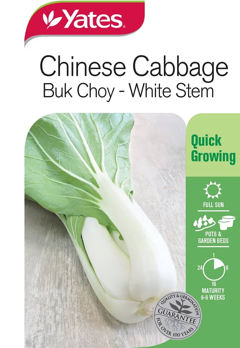 Chinese Cabbage Buk Choy - White Stem | Garden Seeds Yates Australia