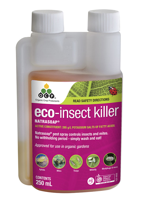 OCP 250mL eco-insect killer concentrate