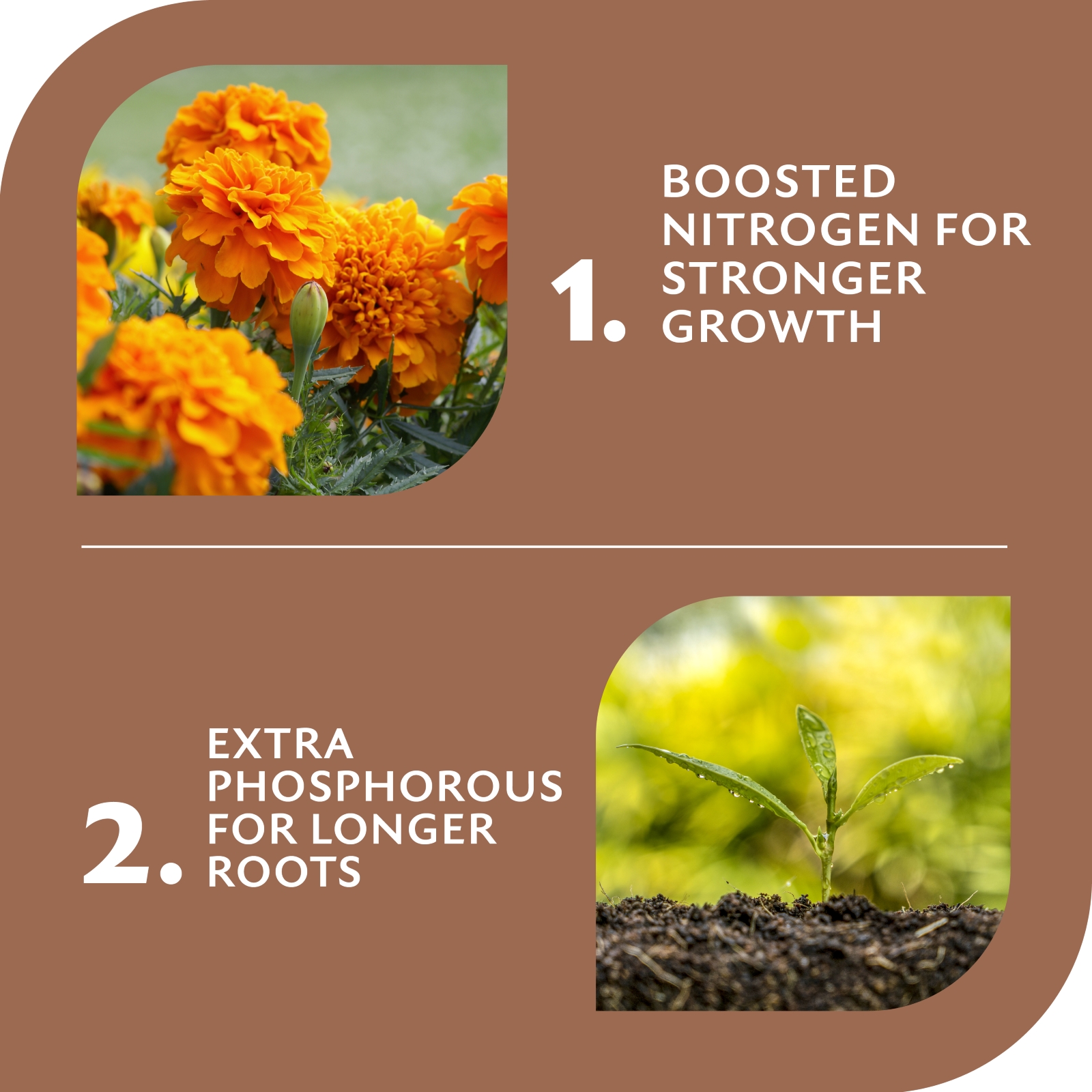 Yates 7kg Dynamic Lifter Roses & Flowers Pelletised Plant Food