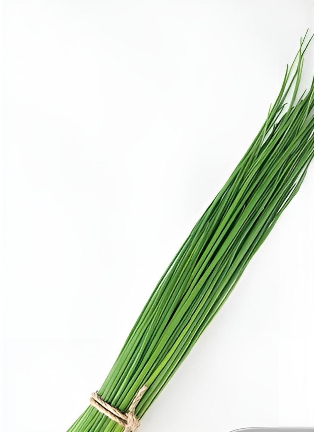 Chives | Garden Seeds Yates Australia