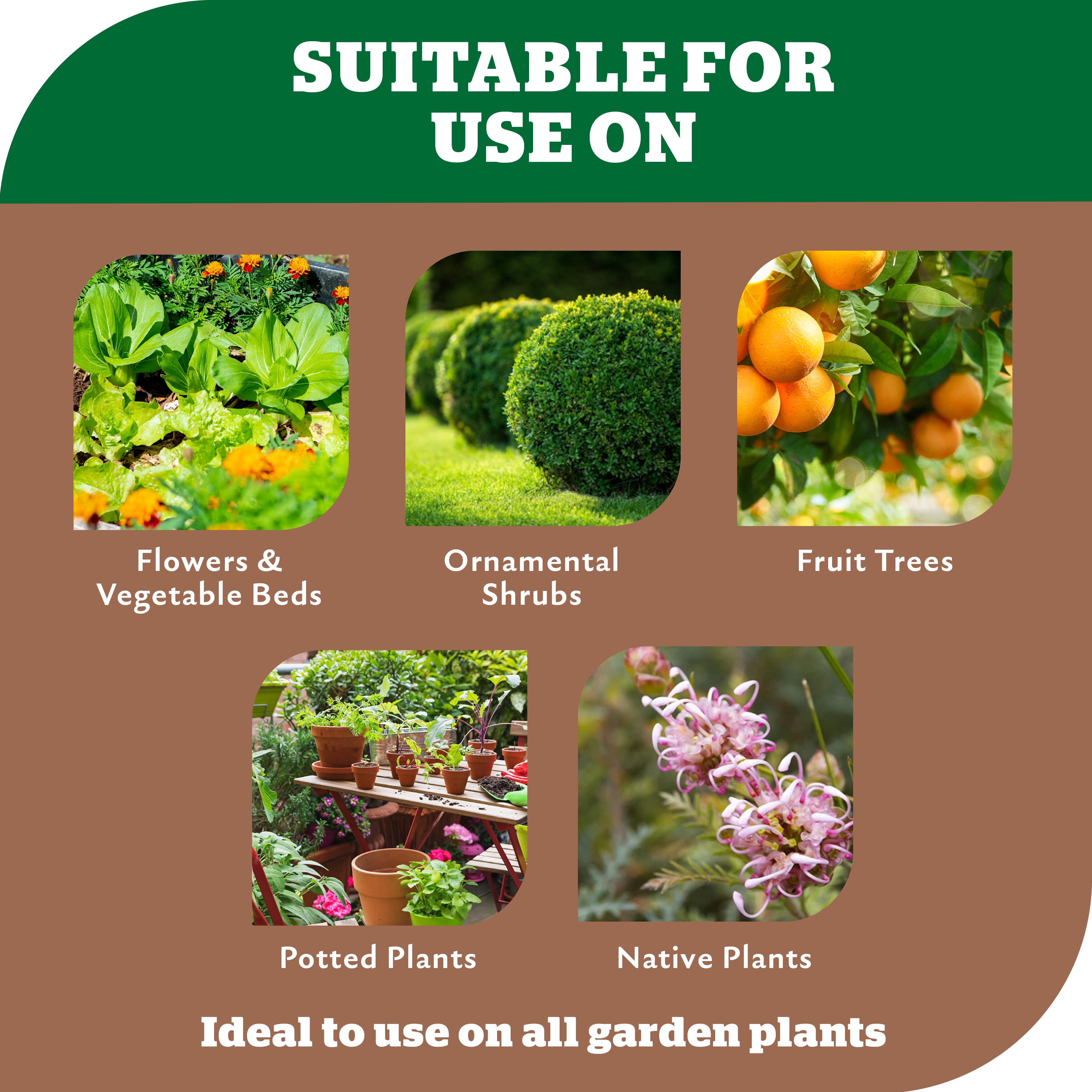 Yates 15kg Dynamic Lifter Soil Improver & Plant Fertiliser