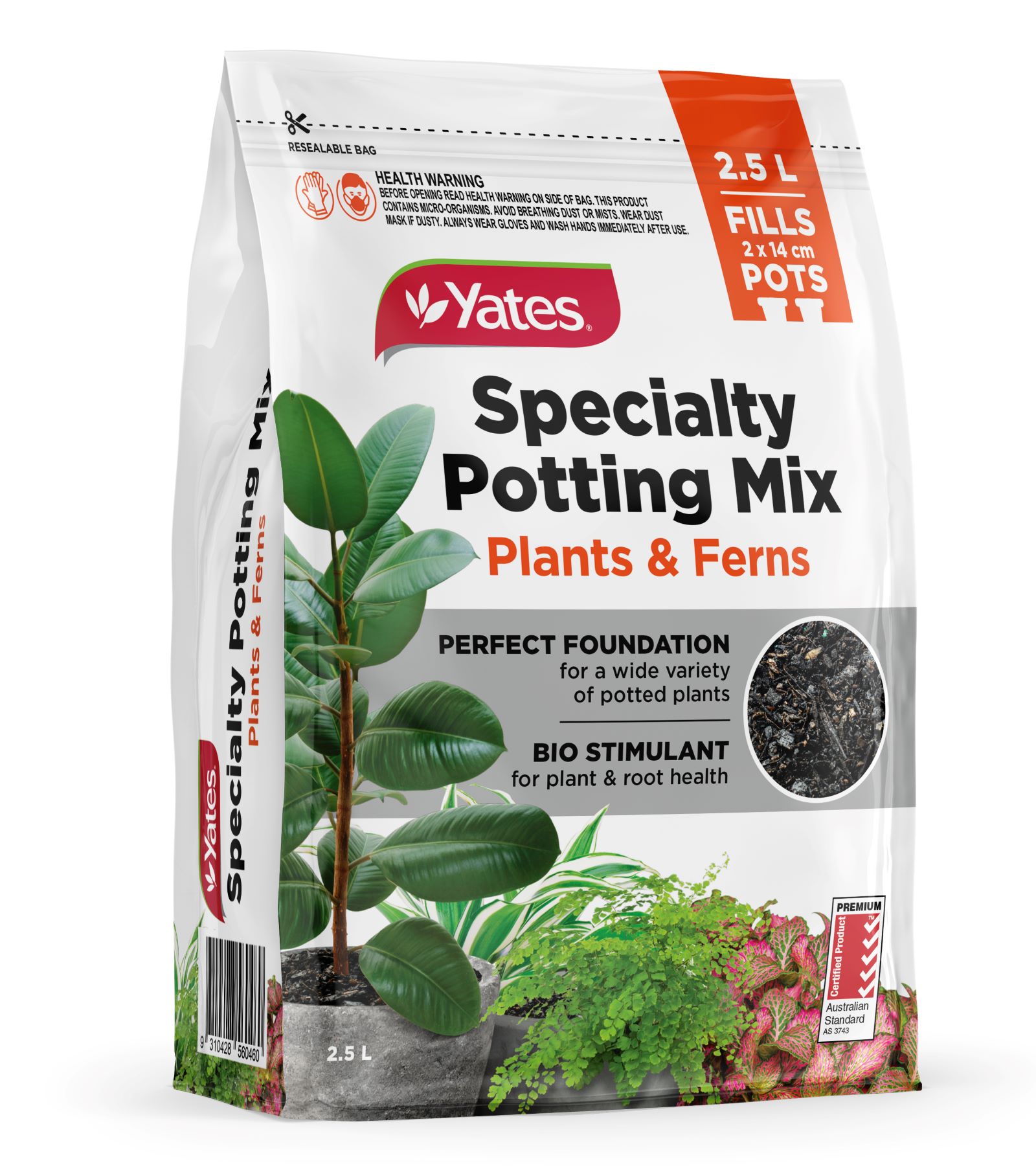 How to Grow Devils Ivy | Yates Australia