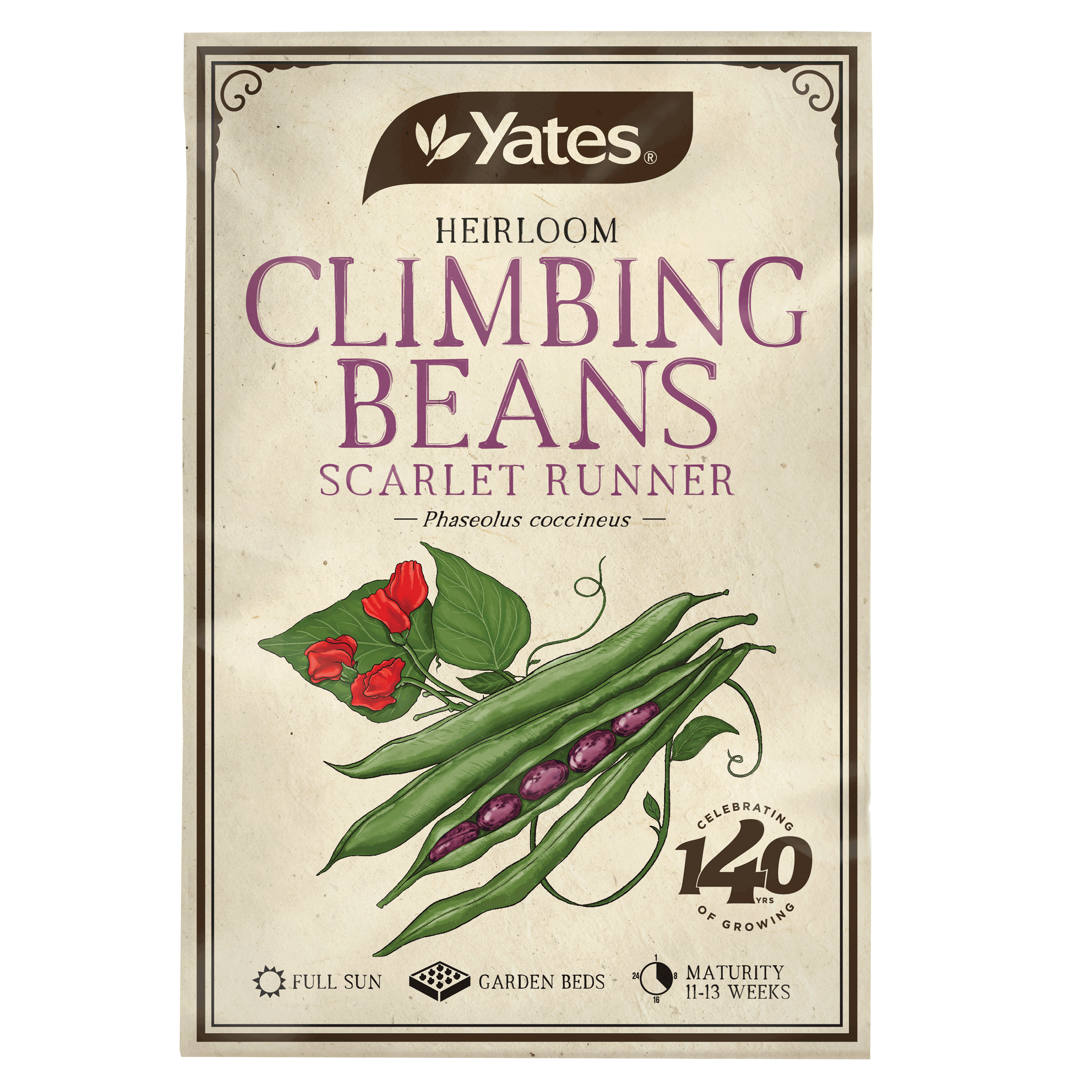 Heirloom Beans Climbing Scarlet Runner Seeds