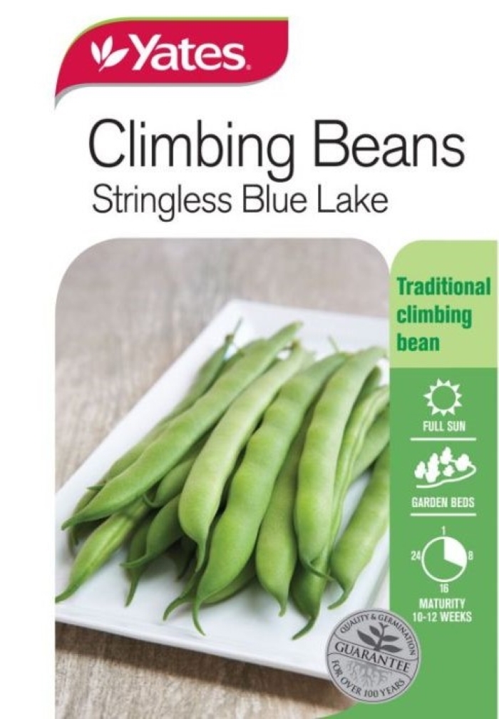 Beans Climbing Stringless Blue Lake | Garden Seeds Yates Australia