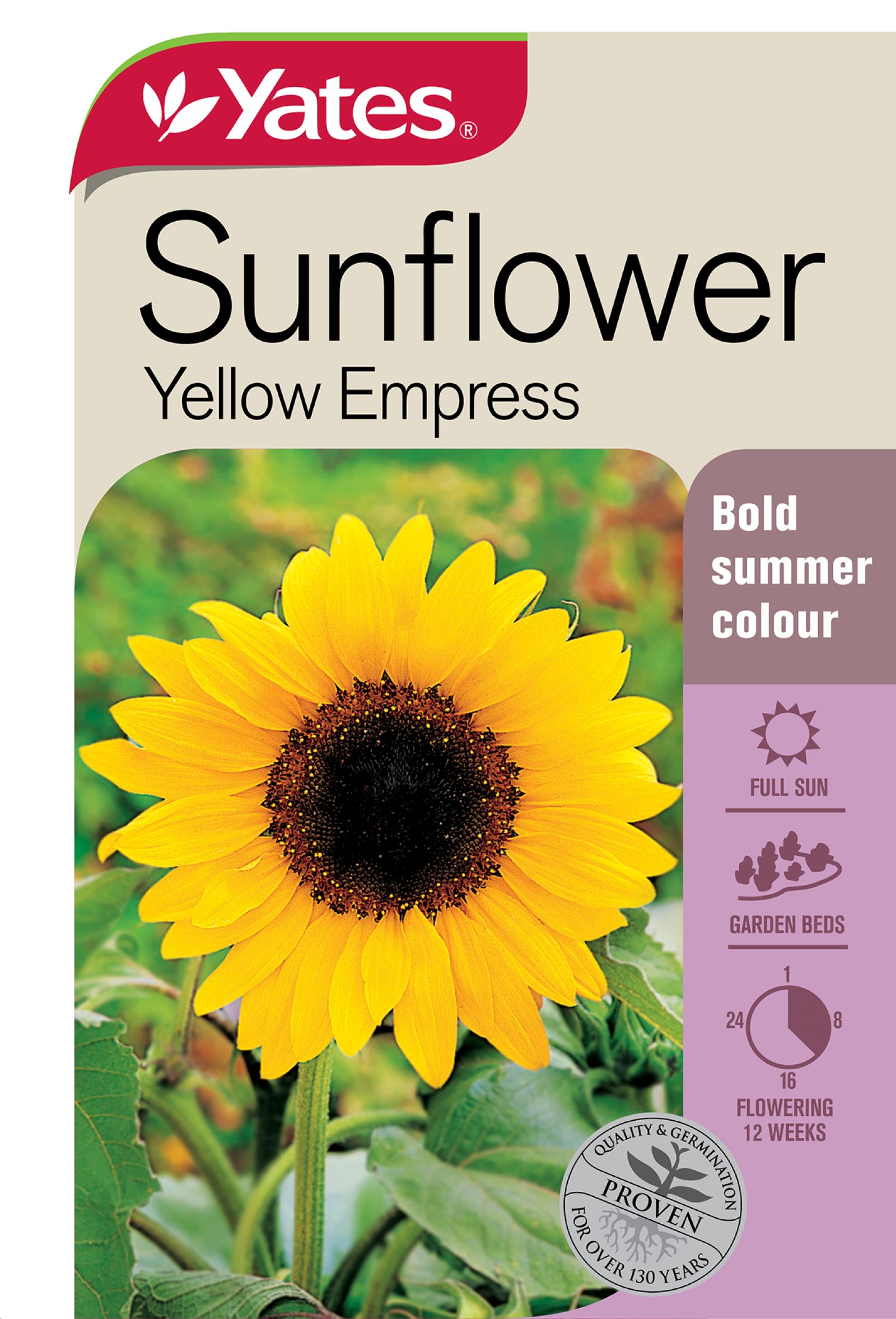 Sunflower Yellow Empress | Garden Seeds Yates Australia