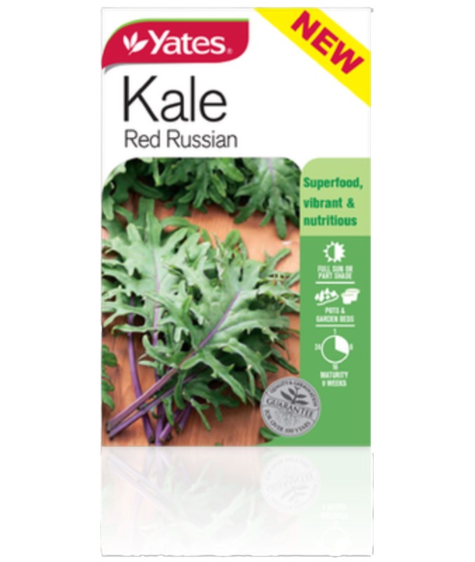 Kale Red Russian | Garden Seeds Yates Australia