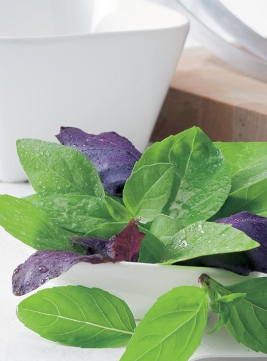 Basil Gourmet Mix | Garden Seeds Yates Australia