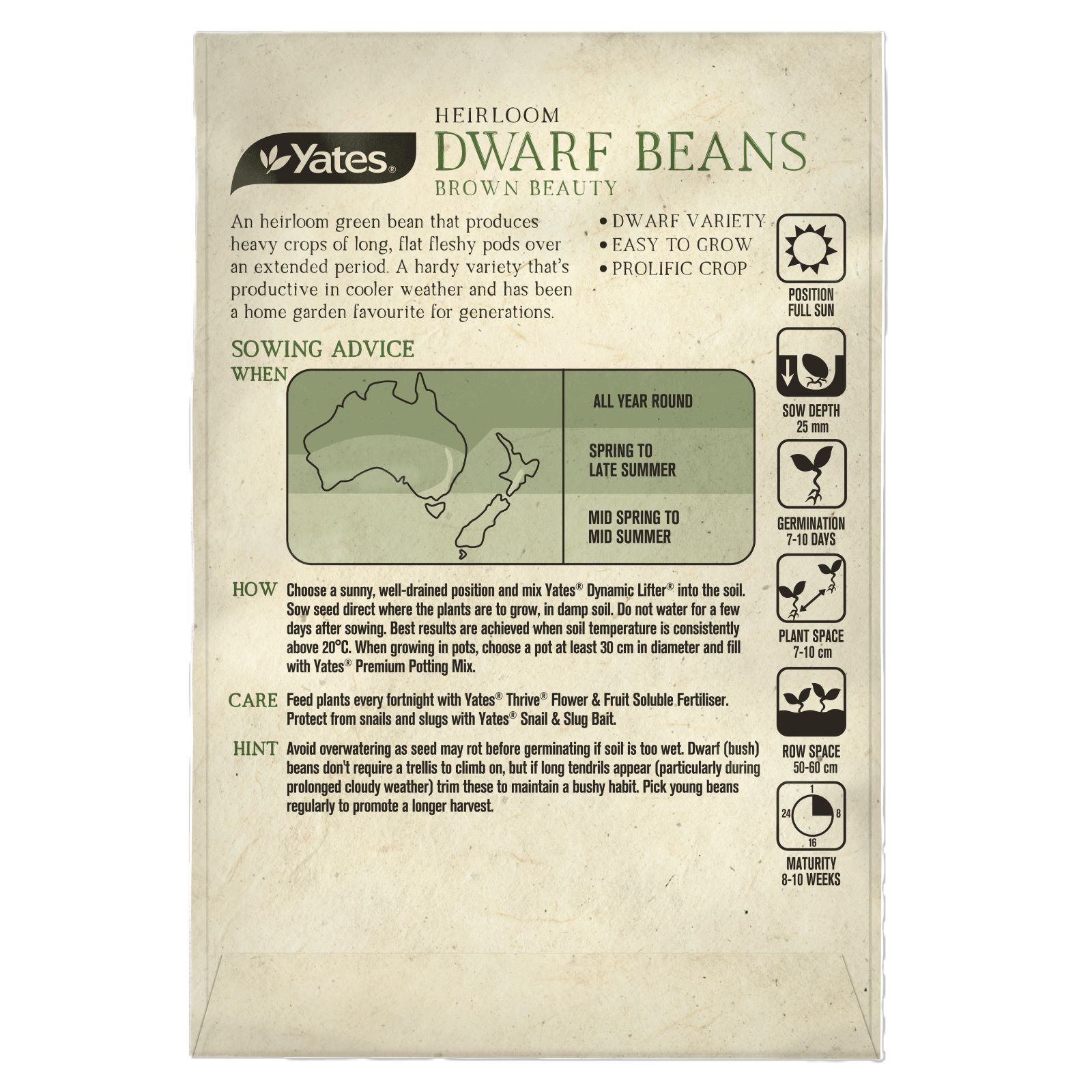 Heirloom Beans Dwarf Brown Beauty Seeds