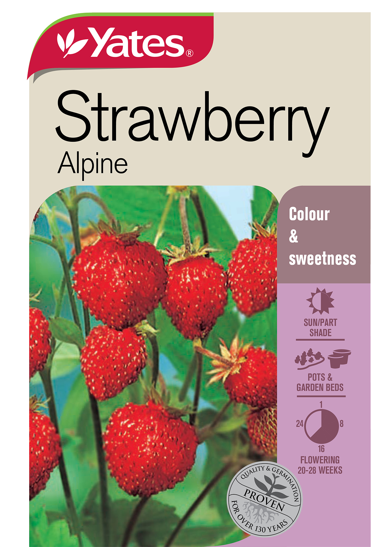 Strawberry Alpine Seeds | Yates Australia
