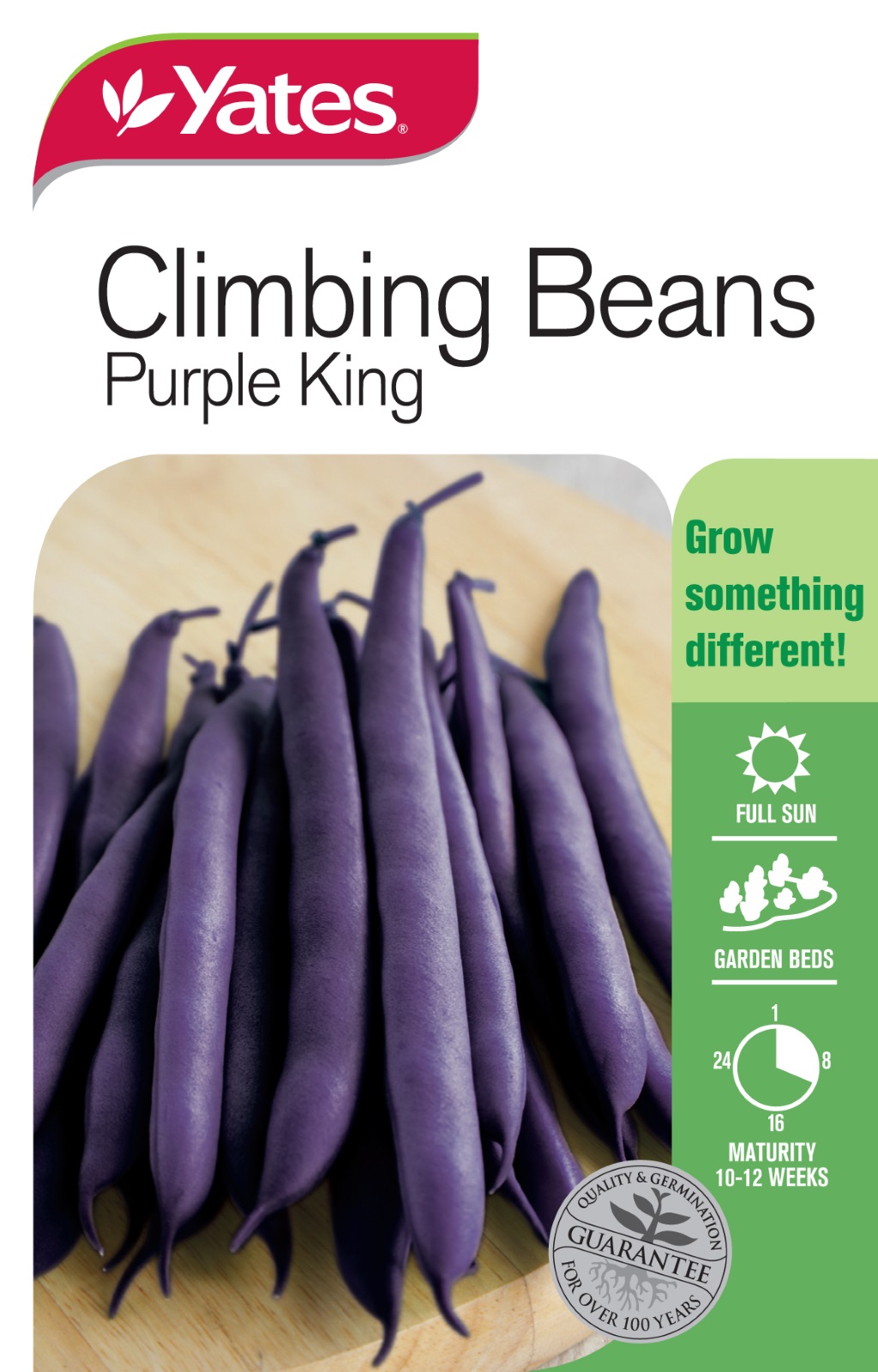 Beans Climbing Purple King | Garden Seeds Yates Australia
