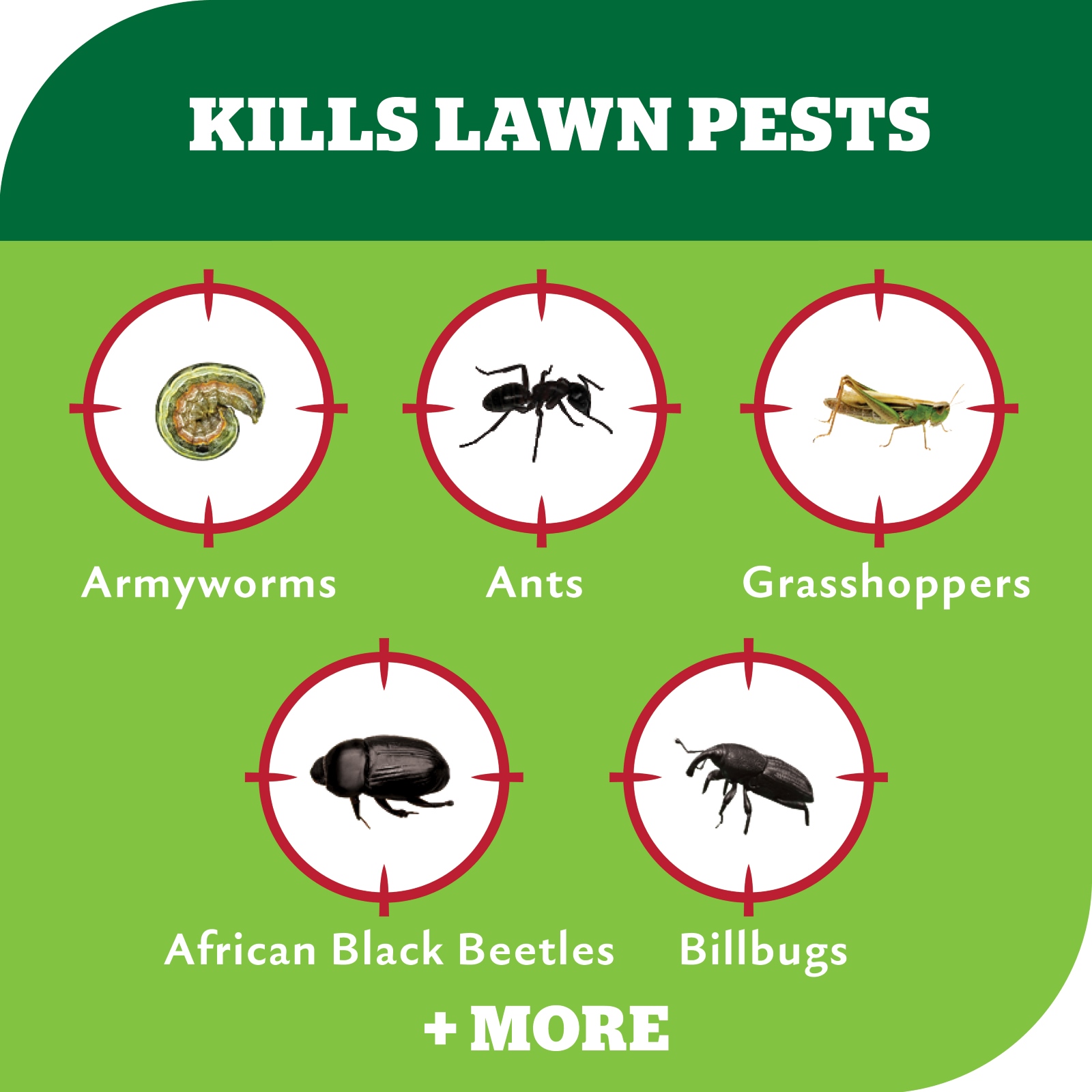 Yates Advanced Lawn Insect Killer 200ml