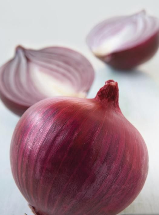 Onion Sweet red | Garden Seeds Yates Australia