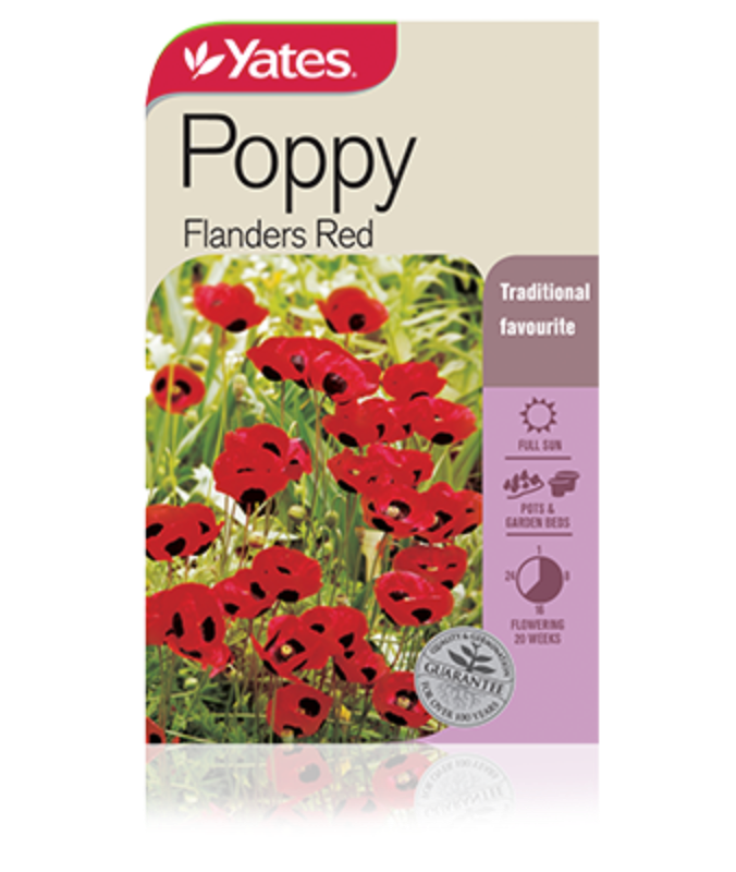 Poppy Flanders Red | Garden Seeds Yates Australia