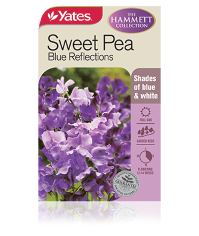 Sweet Pea Blue Reflections (The Hammett Collection) | Garden Seeds ...