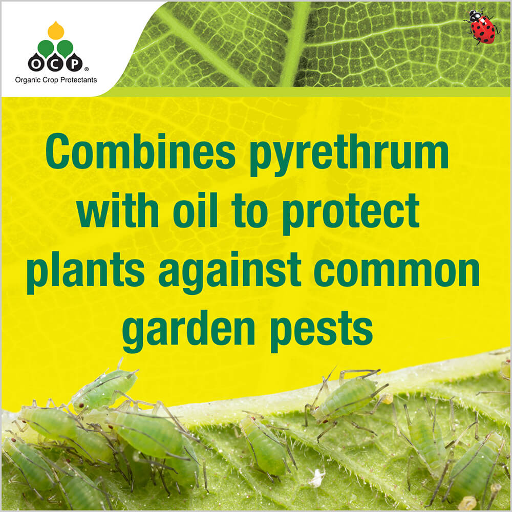 OCP 750ml Ready To Use eco-pyrethrum PLUS