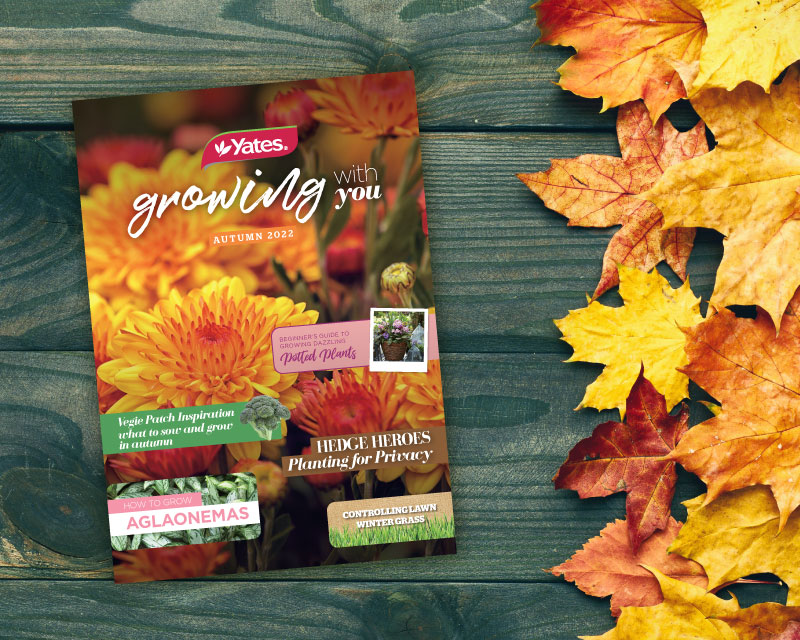 Autumn Garden Calendar | Yates