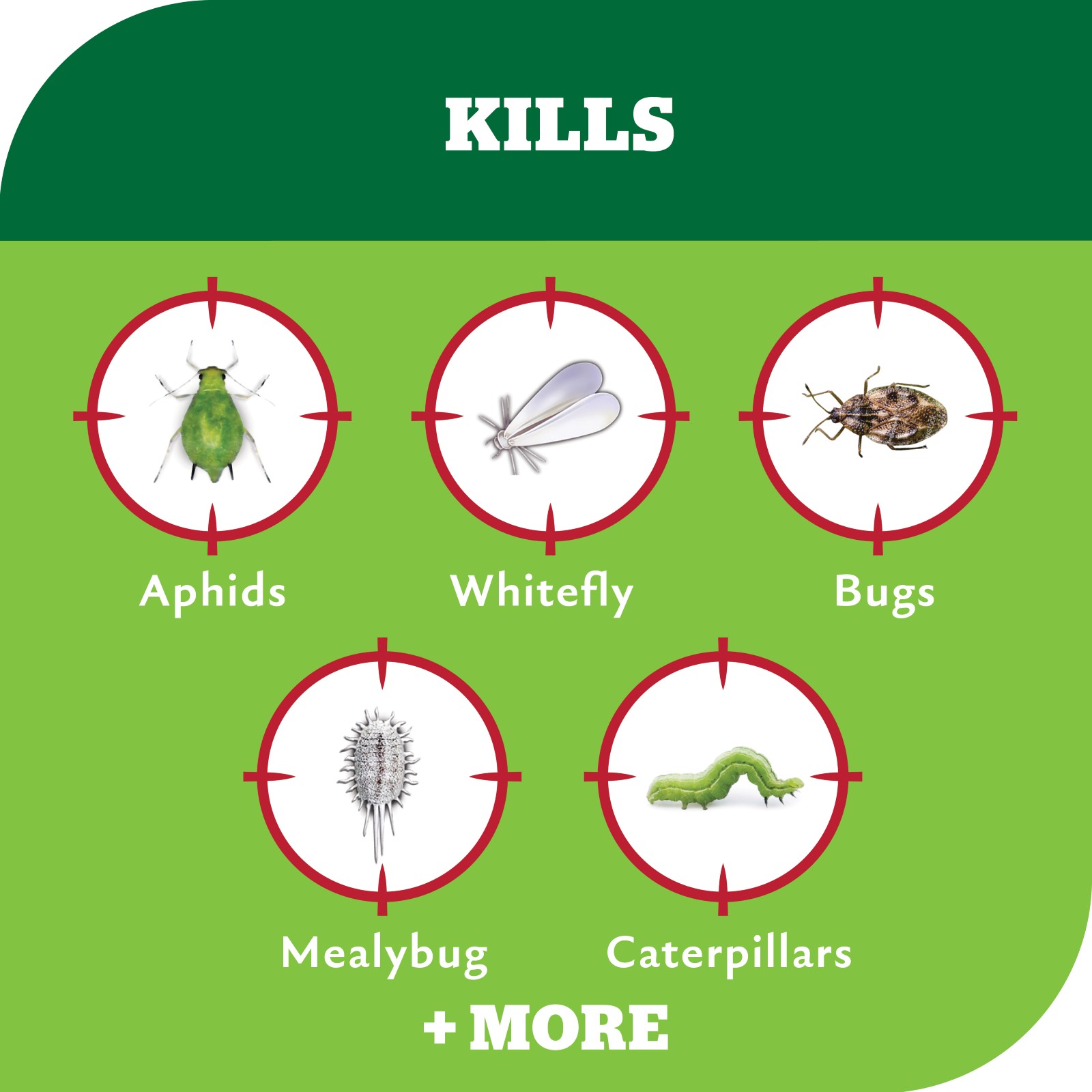 Yates Advanced Garden Insect Killer conc 50ml