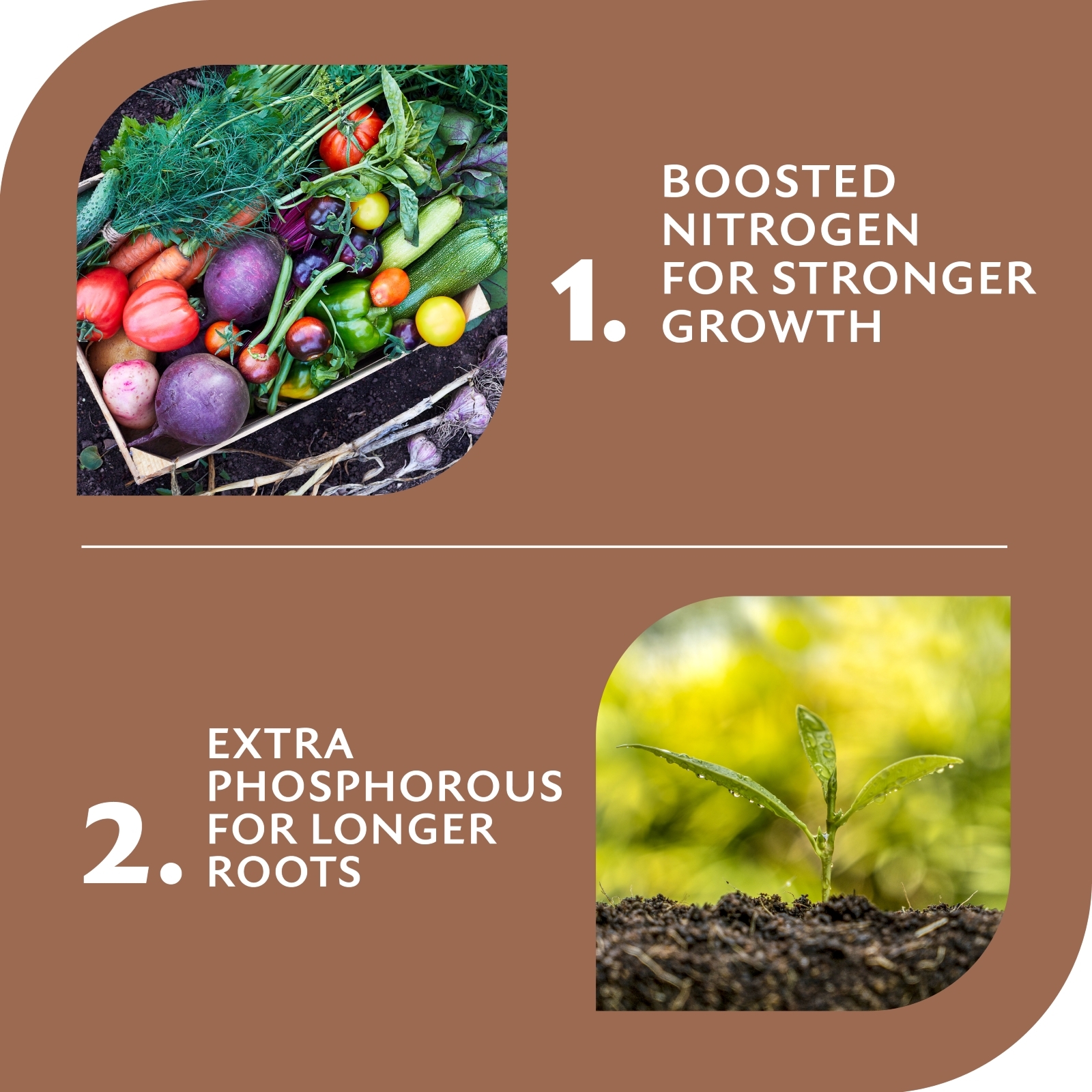 Yates 7kg Dynamic Lifter Fruit & Citrus Pelletised Plant Food