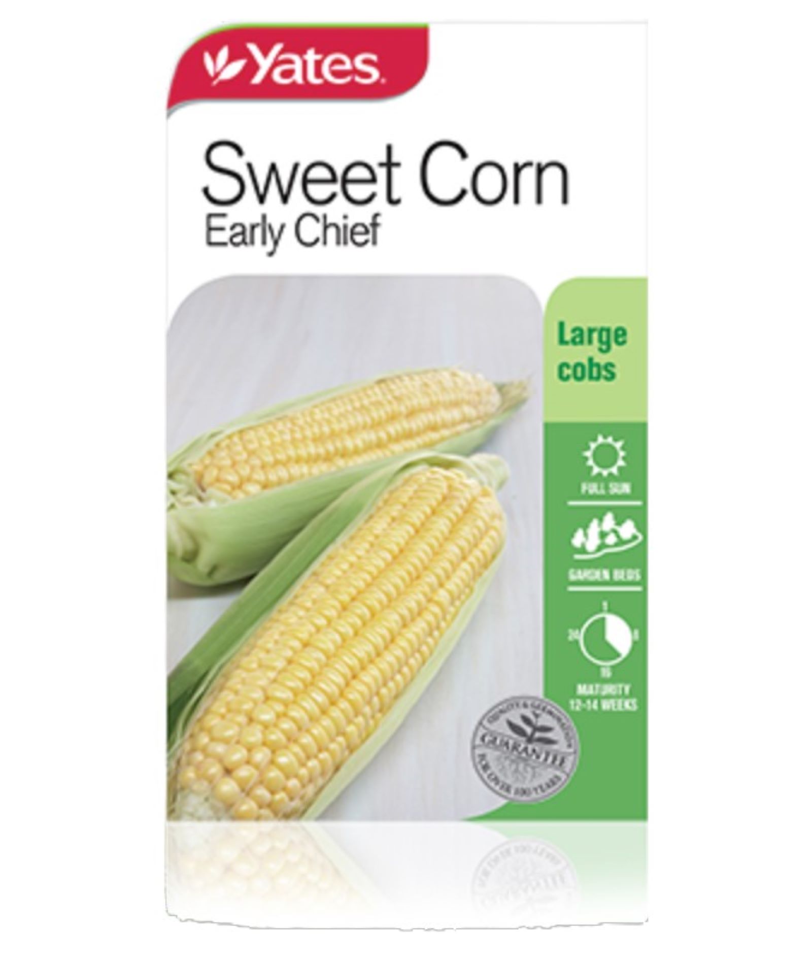 Sweet Corn Early Chief | Garden Seeds Yates Australia