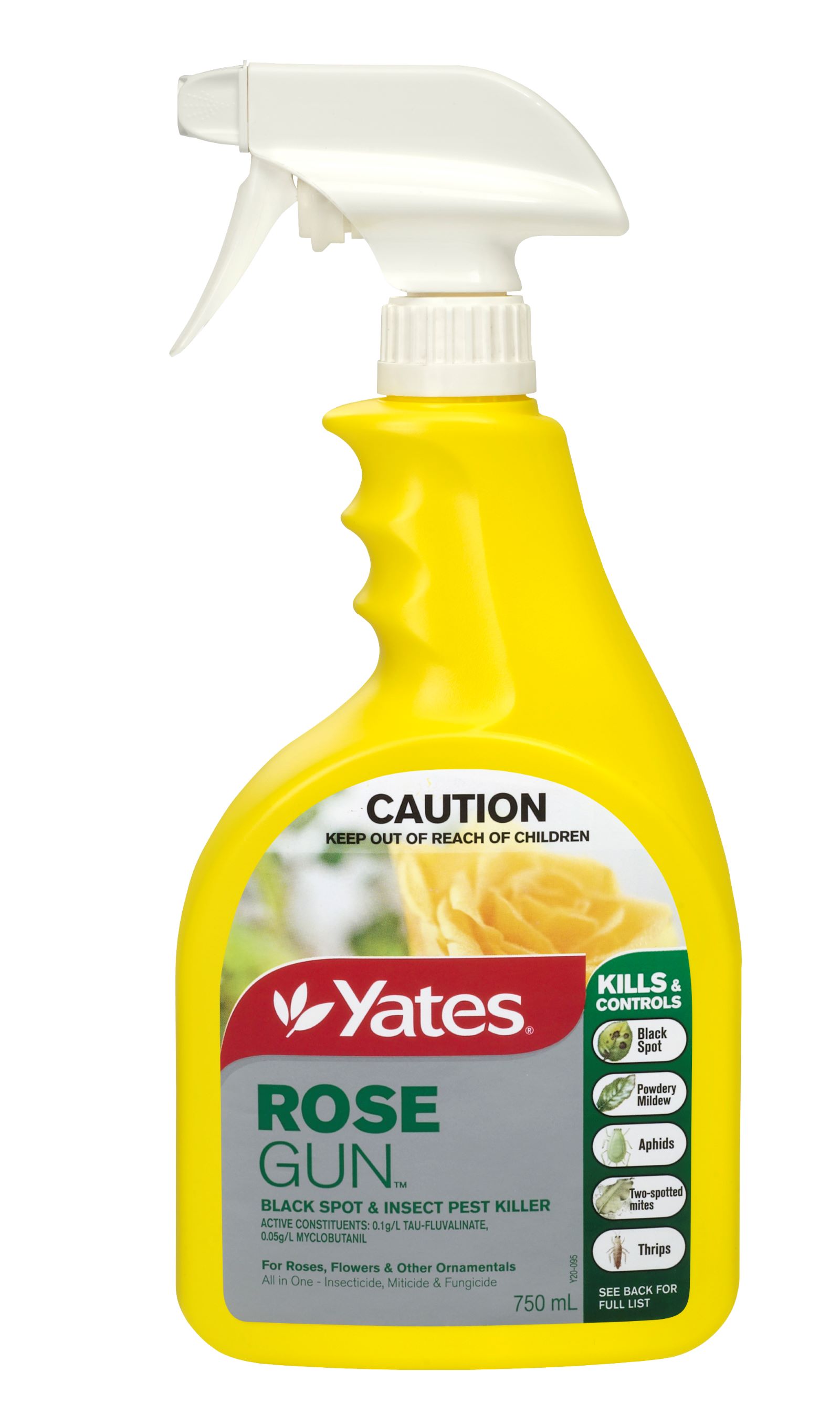 How to Get Rid of Rose Black Spot in Your Garden | Yates Australia