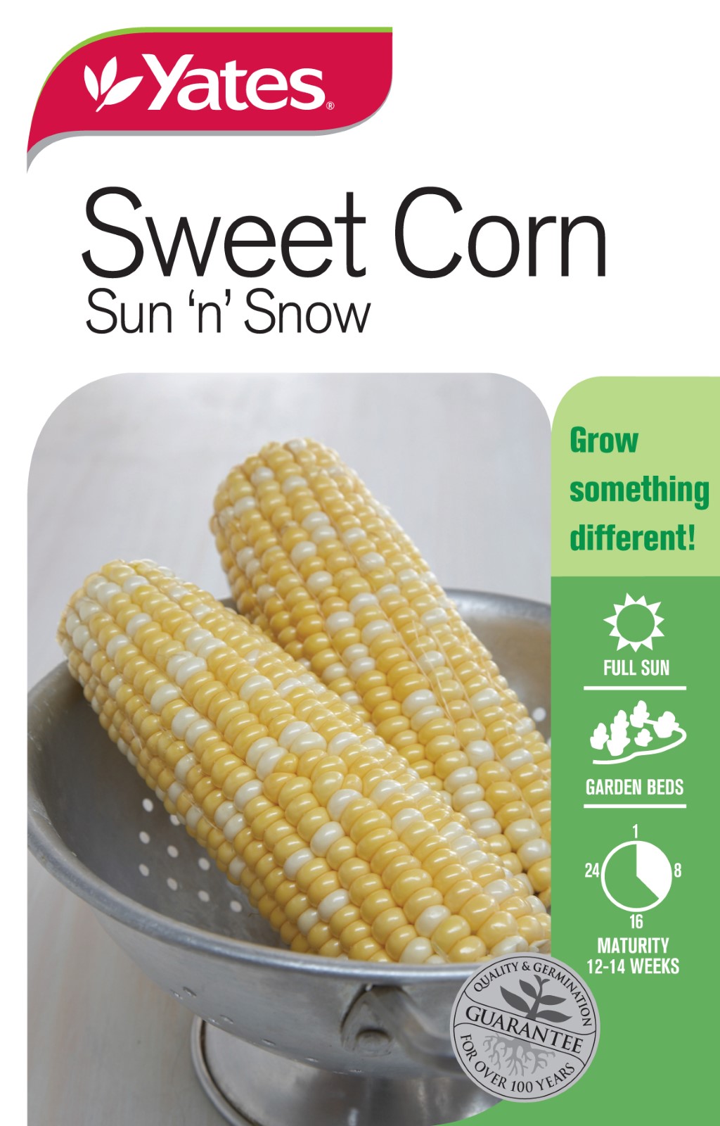 Sweet Corn Sun 'n' Snow | Garden Seeds Yates Australia