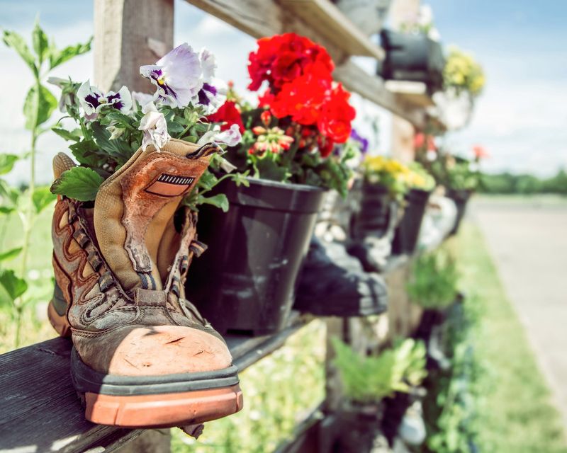 How to create a Shoe Garden