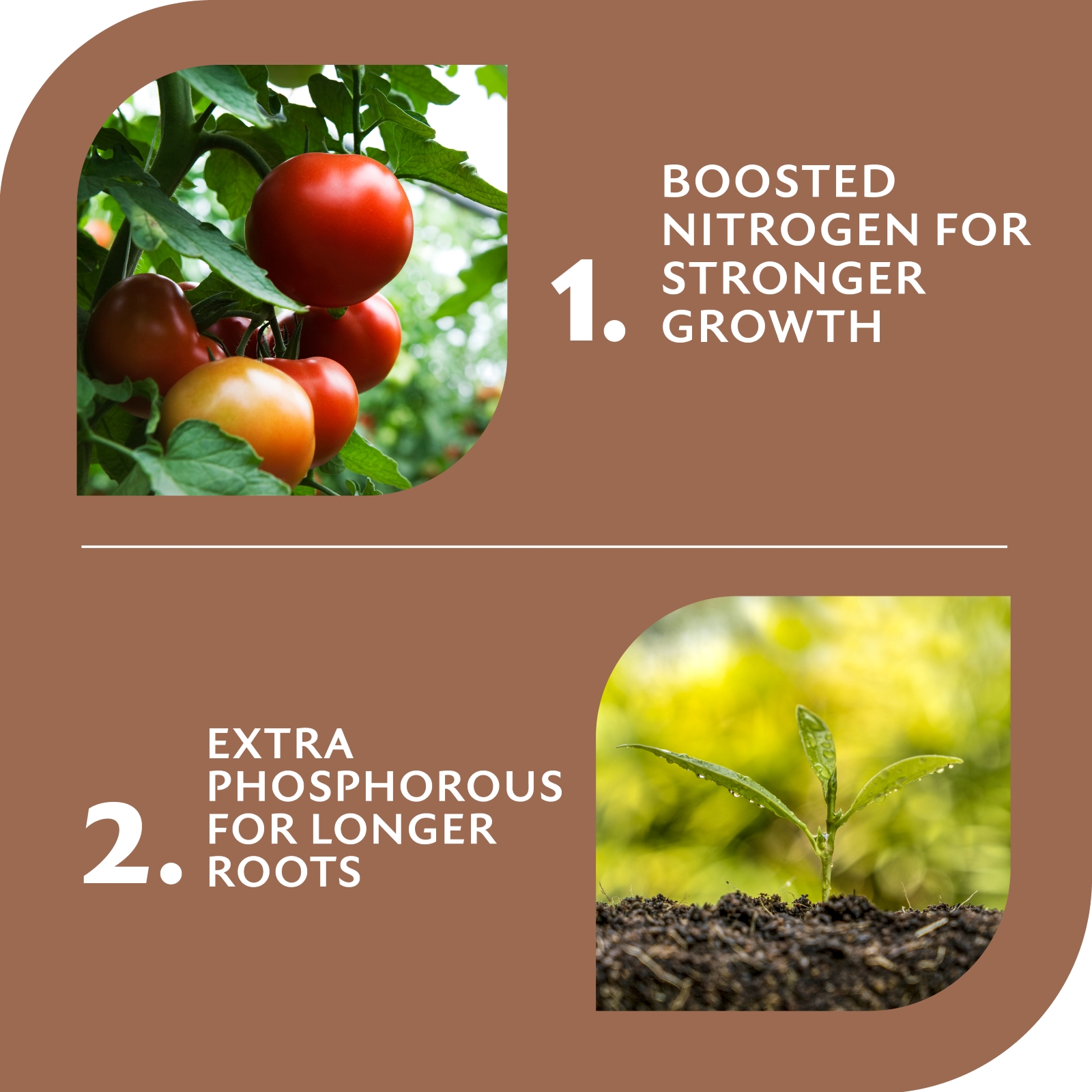 Yates 3kg Dynamic Lifter Tomatoes Vegies & Herbs Pelletised Plant Food