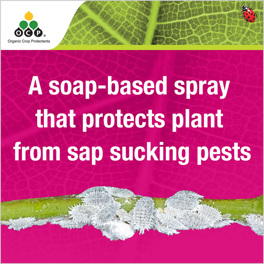 OCP eco-insect killer Ready to Use 750ml