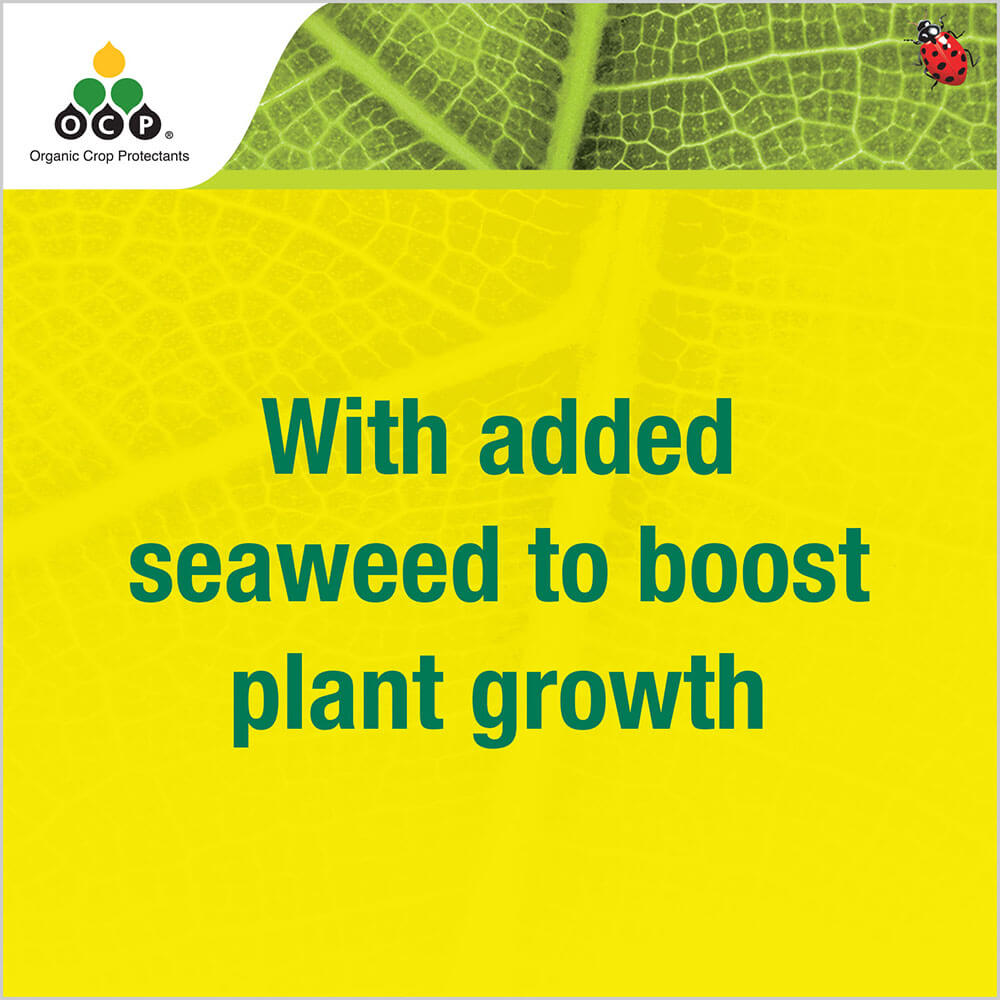 OCP 750ml Ready To Use eco-pyrethrum PLUS