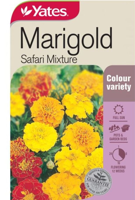 Flower Seeds | Buy Yates Flower Seeds Online