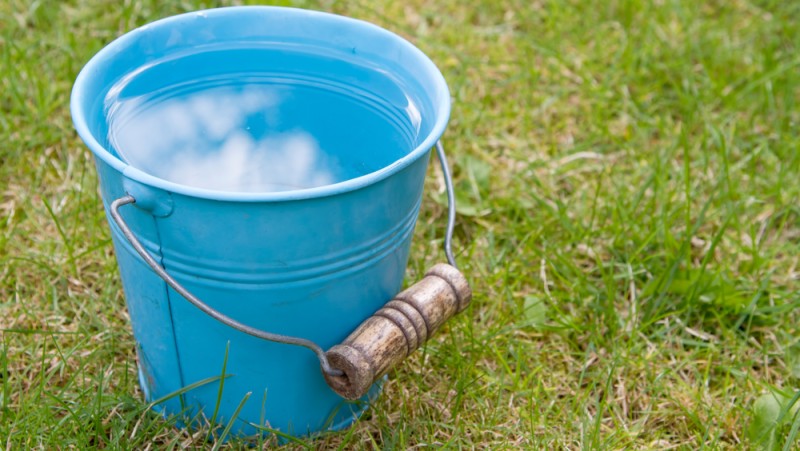 How to Look After Your Lawn this Summer | Yates Australia