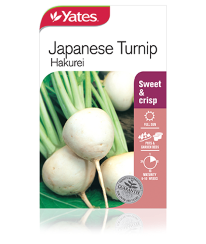 Japanese Turnip Hakurei | Garden Seeds Yates Australia