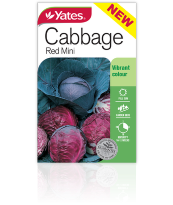 Cabbage Red Mini | Garden Seeds Yates Australia