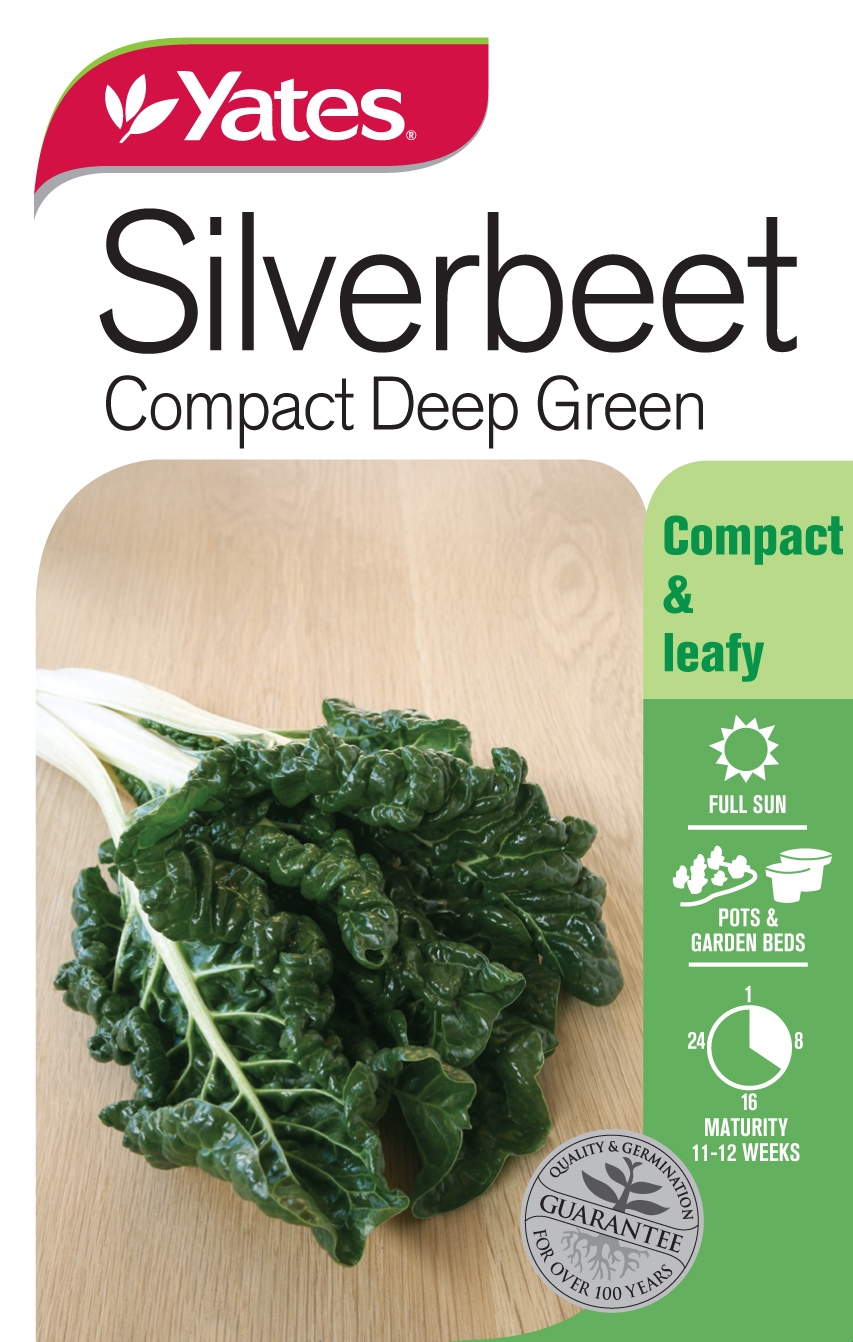 How to Grow Silverbeet | Yates Australia