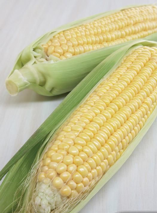 Sweet Corn Early Chief | Garden Seeds Yates Australia