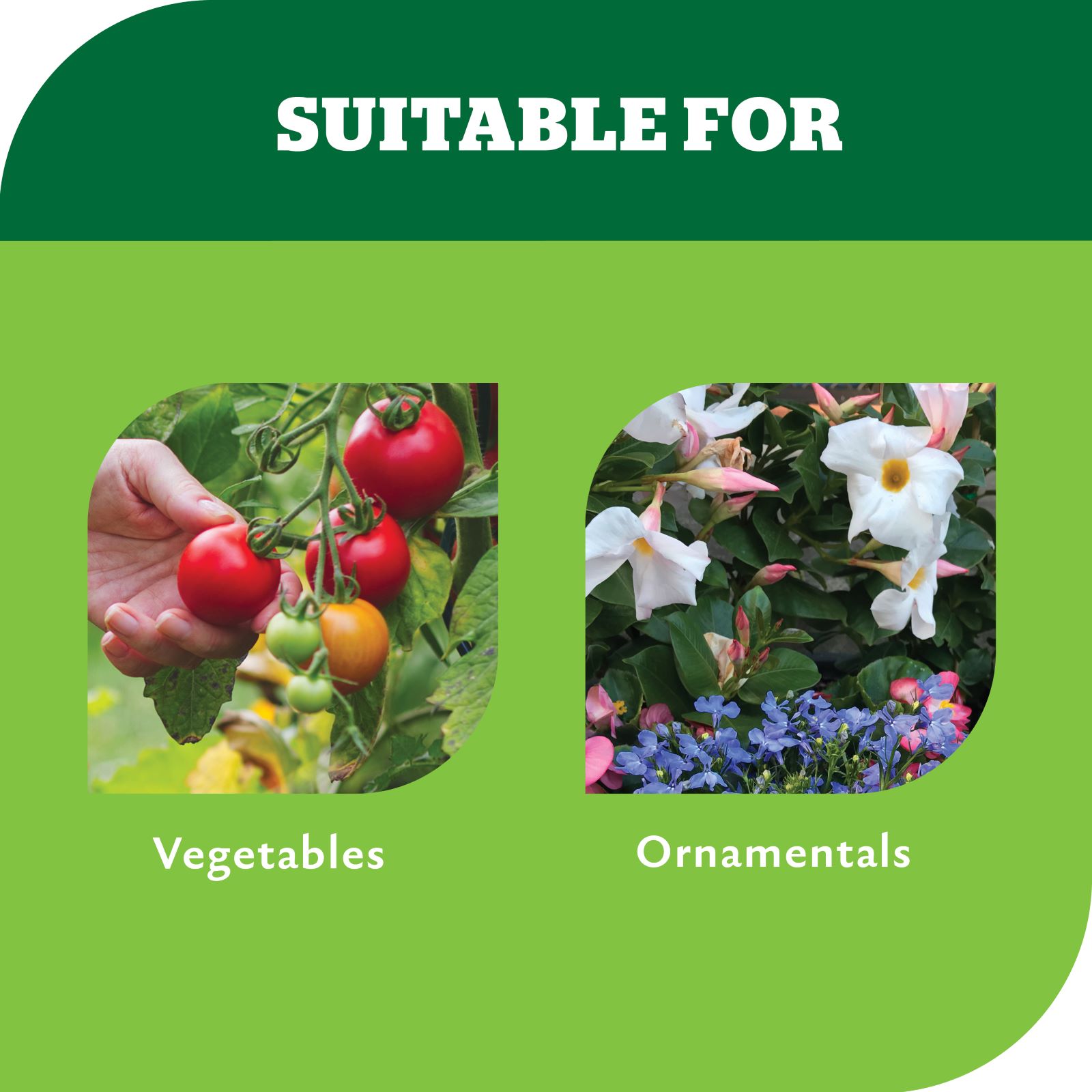 Yates Advanced Garden Insect Killer RTU 1L