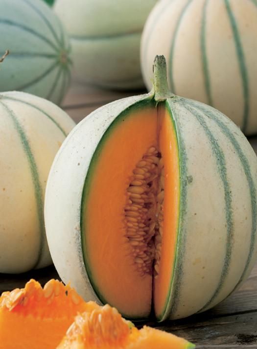 Rockmelon Hales Best | Garden Seeds Yates Australia